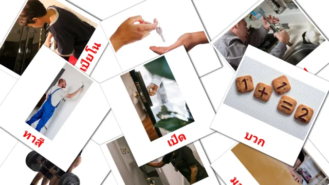 1300+ FREE Thai Flashcards | PDF | Picture Vocabulary
