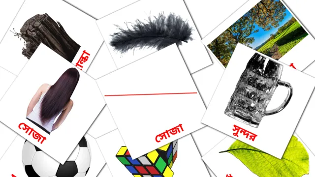 1300+ FREE Bengali Vocabulary Flashcards | PDF