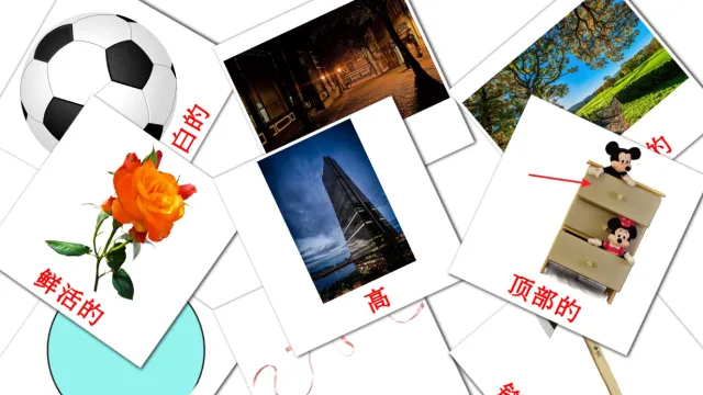 118 FREE Chinese(Simplified) Holidays Flashcards | PDF
