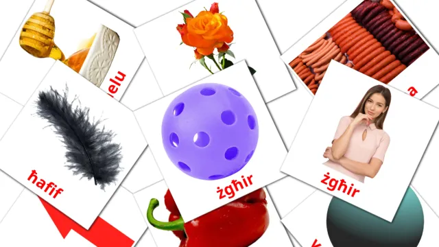 1300+ FREE Maltese Flashcards | PDF | Picture Vocabulary