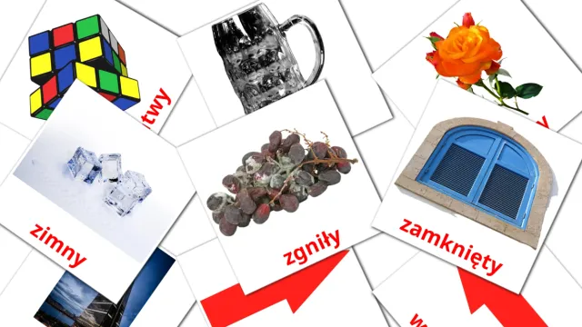 30 FREE Polish Math Flashcards | PDF