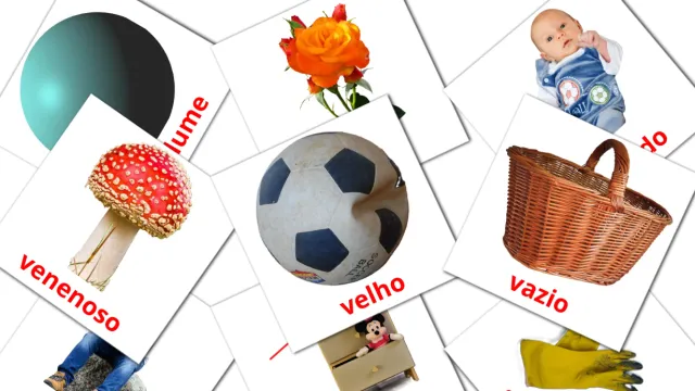 126 FREE Portuguese Verbs Flashcards | PDF