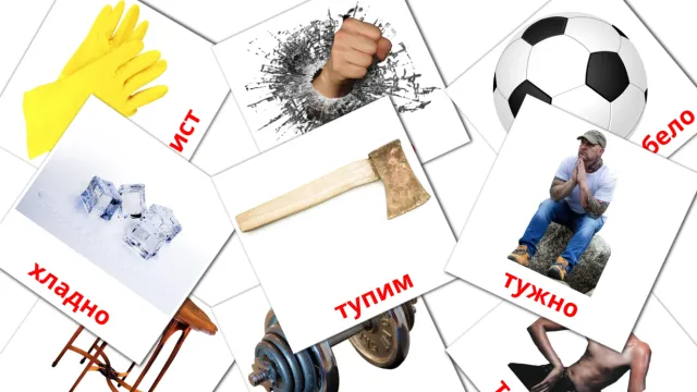 1300+ FREE Serbian(cyrillic) Flashcards | PDF | Picture Vocabulary