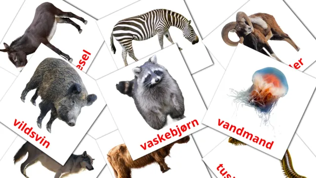 1300+ FREE Dansk Flashcards | PDF | Picture Vocabulary
