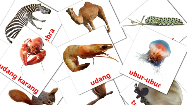1300+ FREE Indonesian Flashcards | PDF | Picture Vocabulary