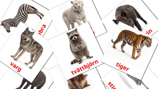 1300+ FREE Swedish Flashcards | PDF | Picture Vocabulary