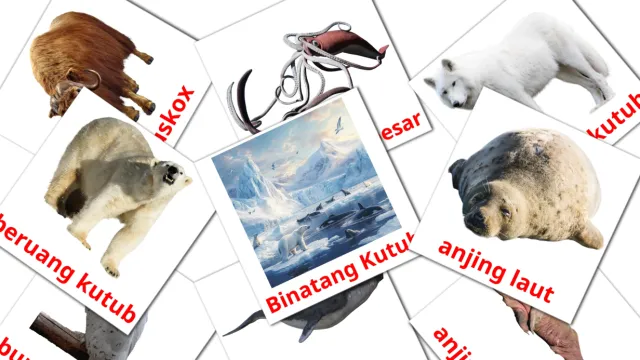 1300+ FREE Indonesian Flashcards | PDF | Picture Vocabulary