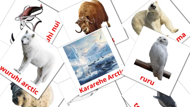 15 FREE Farm animals Flashcards in 4 PDF formats | Maori Pictures