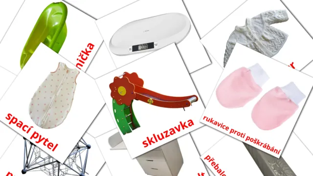 1300+ FREE Czech Flashcards | PDF | Picture Vocabulary
