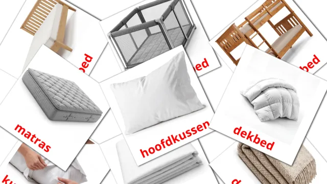 1300+ FREE Dutch Flashcards | PDF | Picture Vocabulary