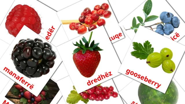 11 FREE Berries Flashcards | PDF | Spanish Words