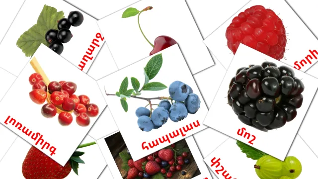 11 FREE Berries Flashcards | PDF | English Words