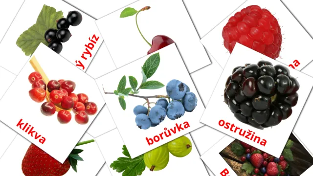 1300+ FREE Czech Flashcards | PDF | Picture Vocabulary