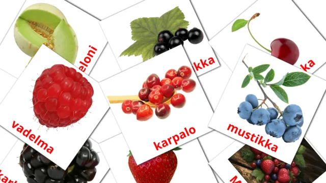 1300+ FREE Finnish Flashcards | PDF | Picture Vocabulary