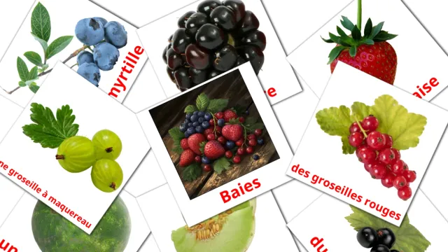 1300+ FREE French Flashcards | PDF | Picture Vocabulary