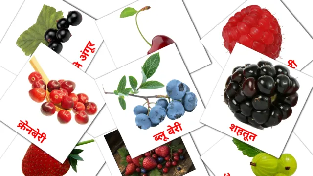 1300+ FREE Hindi Flashcards | PDF | Picture Vocabulary