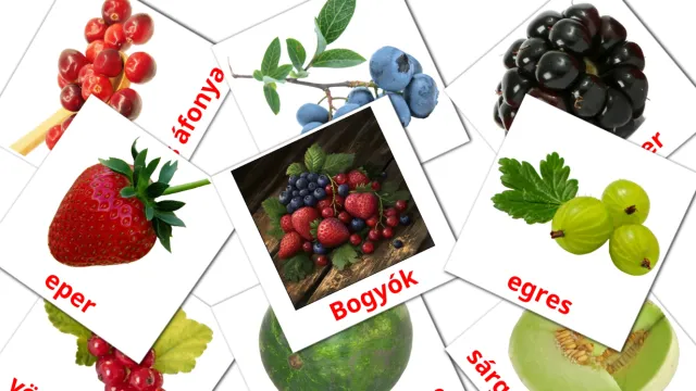 1300+ FREE Hungarian Flashcards | PDF | Picture Vocabulary