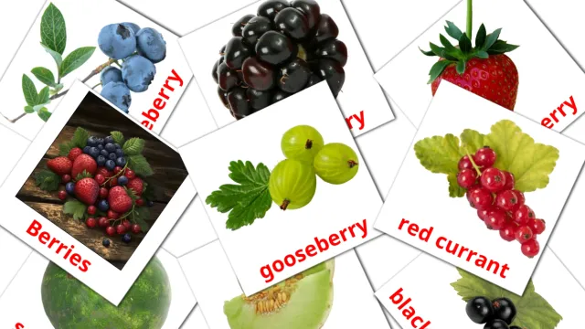 1300+ FREE Indonesian Flashcards | PDF | Picture Vocabulary