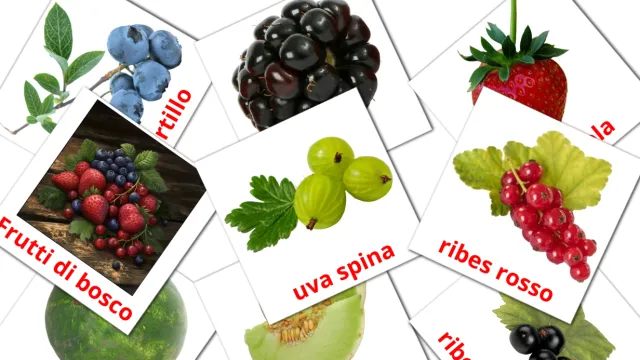 1300+ FREE Italian Flashcards | PDF | Picture Vocabulary