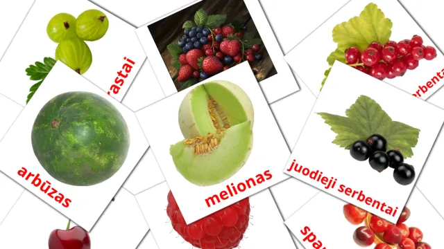 1300+ FREE Lithuanian Flashcards | PDF | Picture Vocabulary