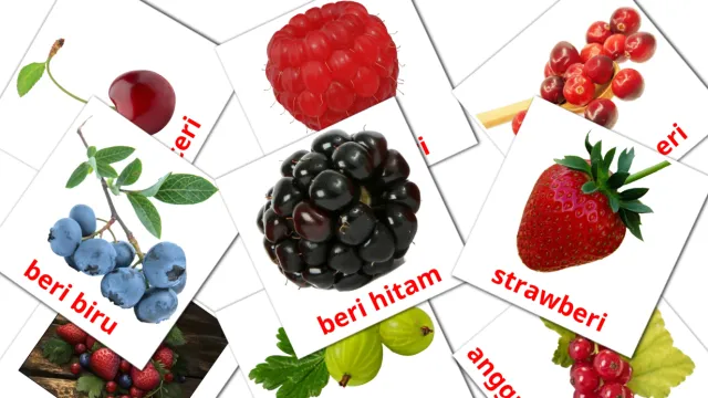 1300+ FREE Malay Flashcards | PDF | Picture Vocabulary