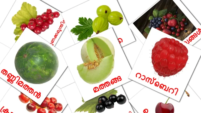1300+ FREE Malayalam Flashcards | PDF | Picture Vocabulary