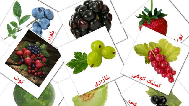 1300+ FREE Persian Flashcards | PDF | Picture Vocabulary