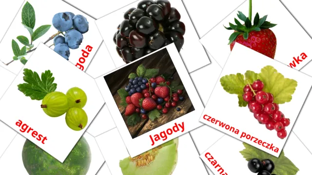 1300+ FREE Polish Flashcards | PDF | Picture Vocabulary