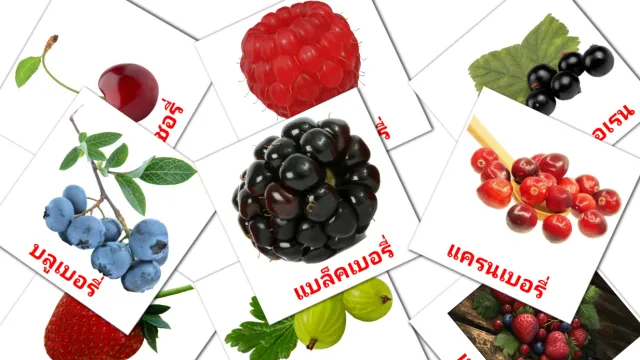 1300+ FREE Thai Flashcards | PDF | Picture Vocabulary