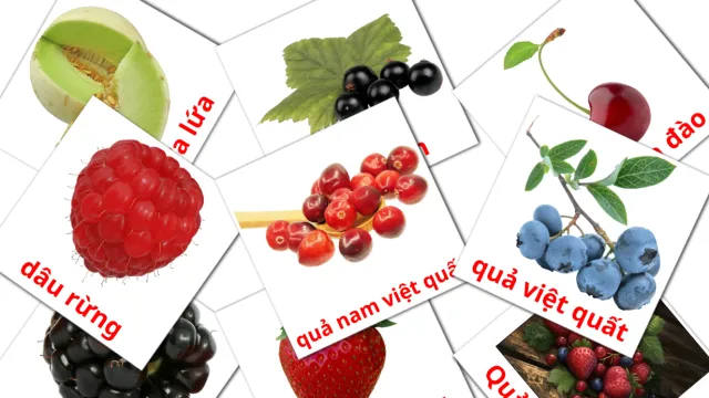 1300+ FREE Vietnamese Flashcards | PDF | Picture Vocabulary