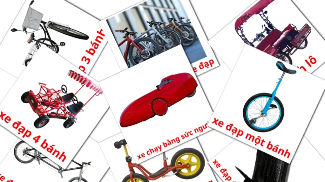 1300+ FREE Vietnamese Flashcards | PDF | Picture Vocabulary