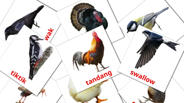 1300+ FREE Filipino Flashcards | PDF | Picture Vocabulary