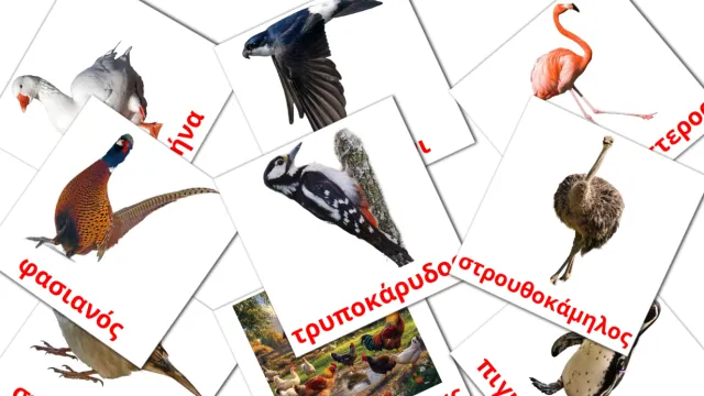 1300+ FREE Greek Flashcards | PDF | Picture Vocabulary