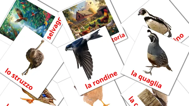 1300+ FREE Italian Flashcards | PDF | Picture Vocabulary