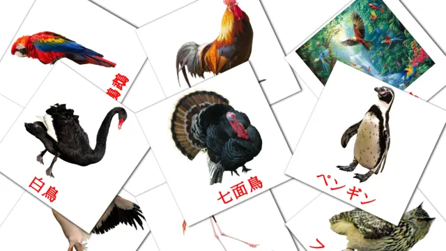 1300+ FREE Japanese Flashcards | PDF | Picture Vocabulary