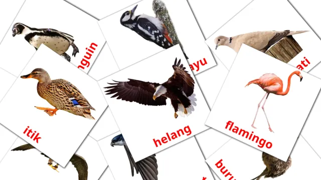 1300+ FREE Malay Flashcards | PDF | Picture Vocabulary