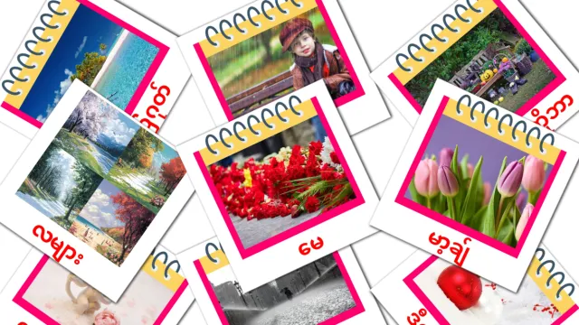 1300+ FREE Burmese Flashcards | PDF | Picture Vocabulary