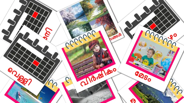 1300+ FREE Malayalam Flashcards | PDF | Picture Vocabulary