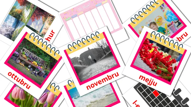 1300+ FREE Maltese Flashcards | PDF | Picture Vocabulary