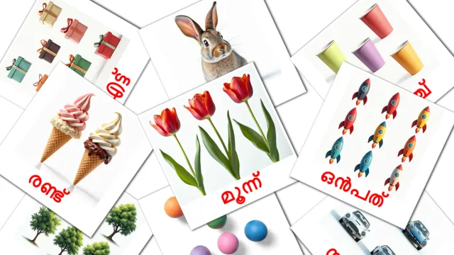 1300+ FREE Malayalam Flashcards | PDF | Picture Vocabulary