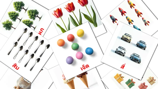 1300+ FREE Thai Flashcards | PDF | Picture Vocabulary