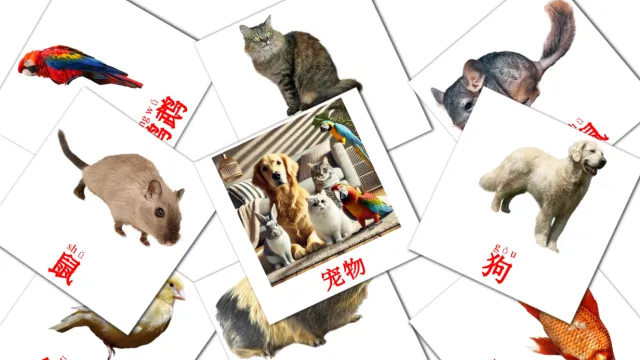 1300+ FREE Chinese(Simplified) Flashcards | PDF | Picture Vocabulary