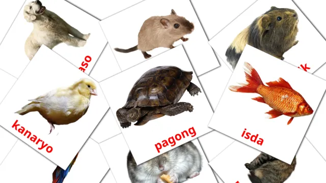 15 FREE Farm animals Flashcards in PDF | Filipino Pictures