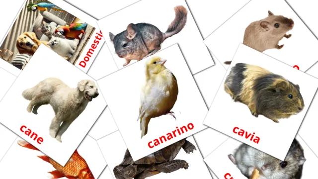 1300+ Tarjetas en Italiano para Imprimir GRATIS en PDF