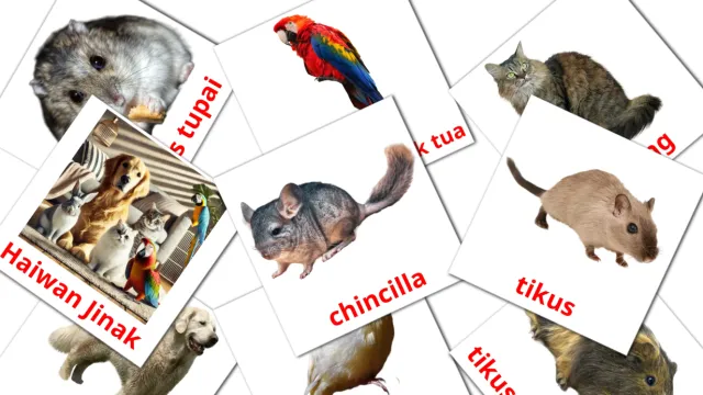 1300+ FREE Malay Vocabulary Flashcards | PDF