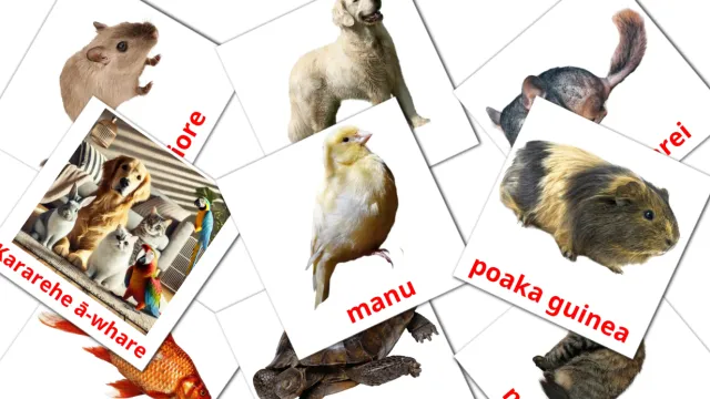 10 Free Domestic animals Flashcards in tamil (PDF files)