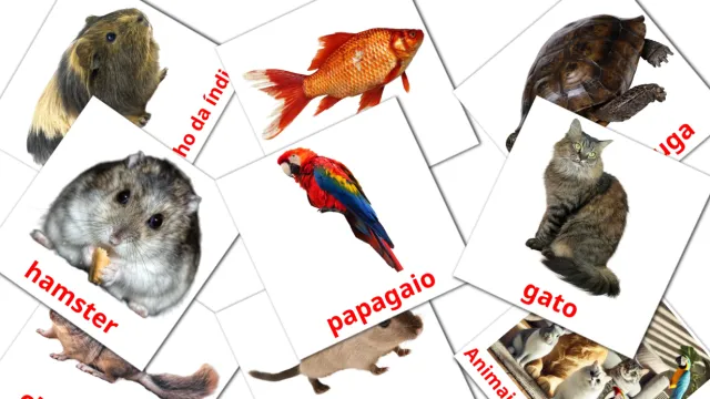 1300+ Flashcards de vocabulário Português GRÁTIS em 4 formatos para ...