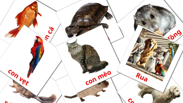 1300+ FREE Vietnamese Flashcards | PDF | Picture Vocabulary