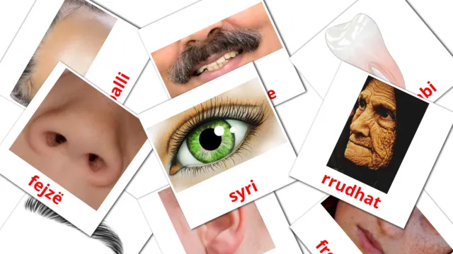 20 FREE Face Flashcards | PDF | English Words
