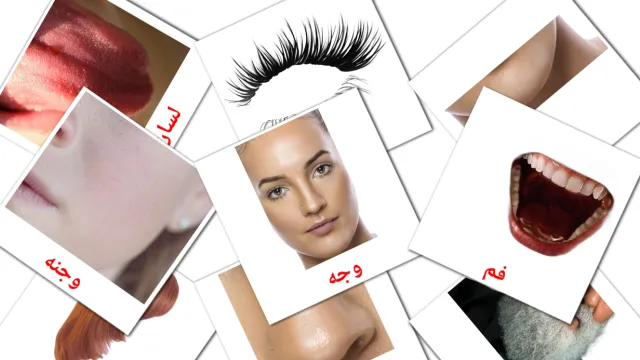 20 FREE Face Flashcards | PDF | English Words
